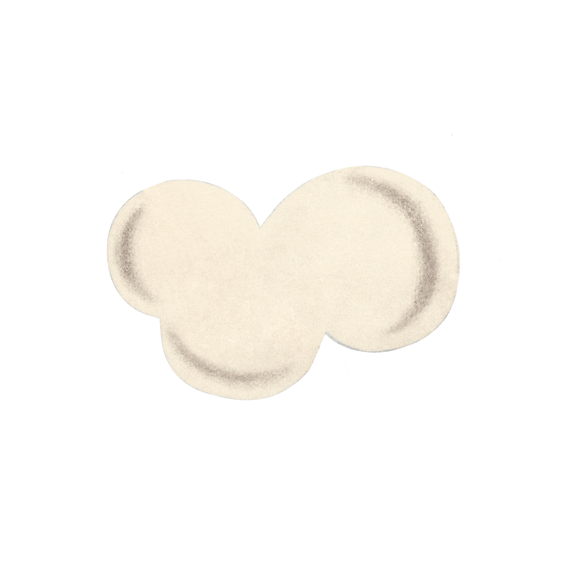 Single Vineyard Expressions by Sierra Reed - Reed Wines